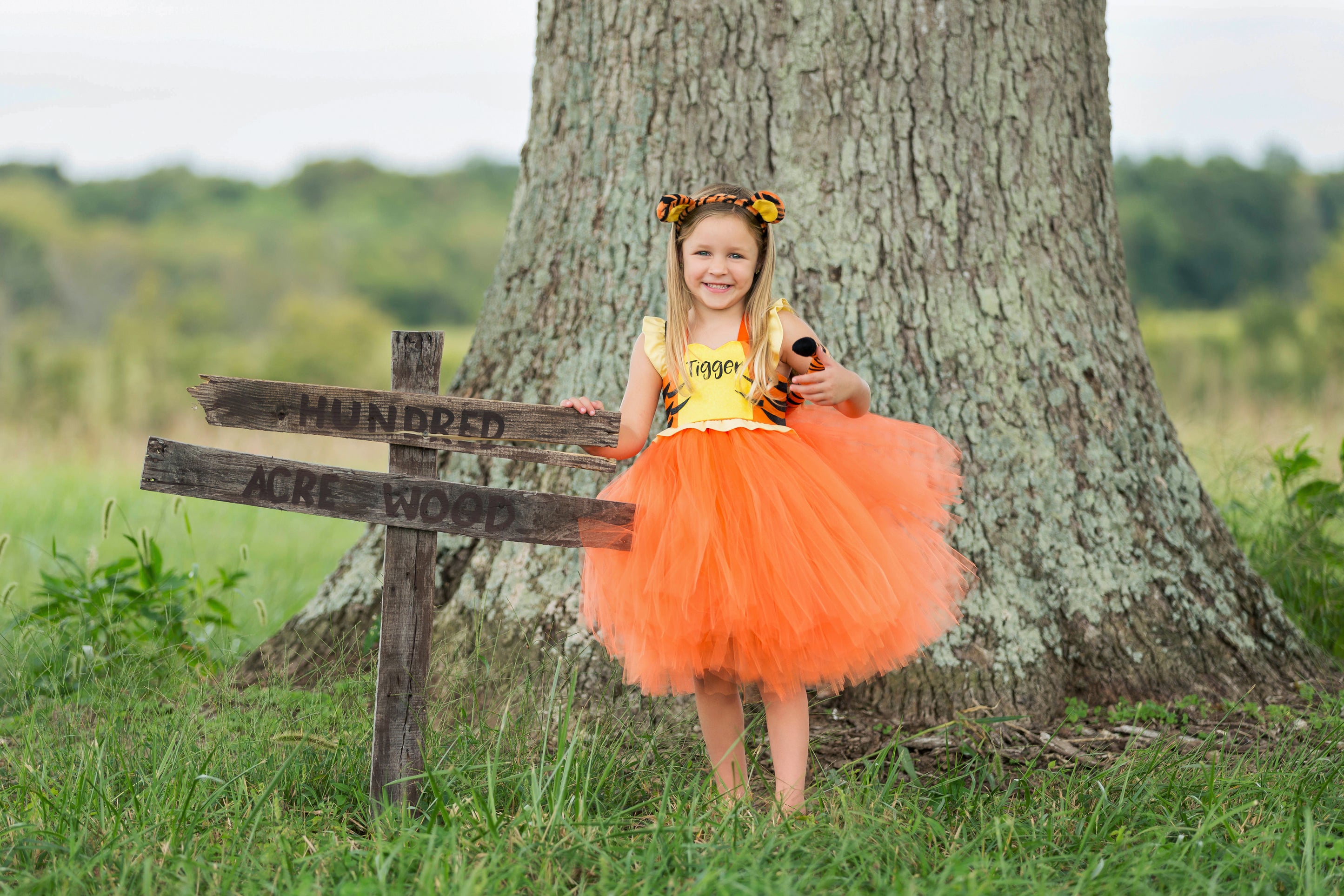 Tigger Costume- Tigger Tutu Dress- Tigger dress – Pink Toes & Hair Bows