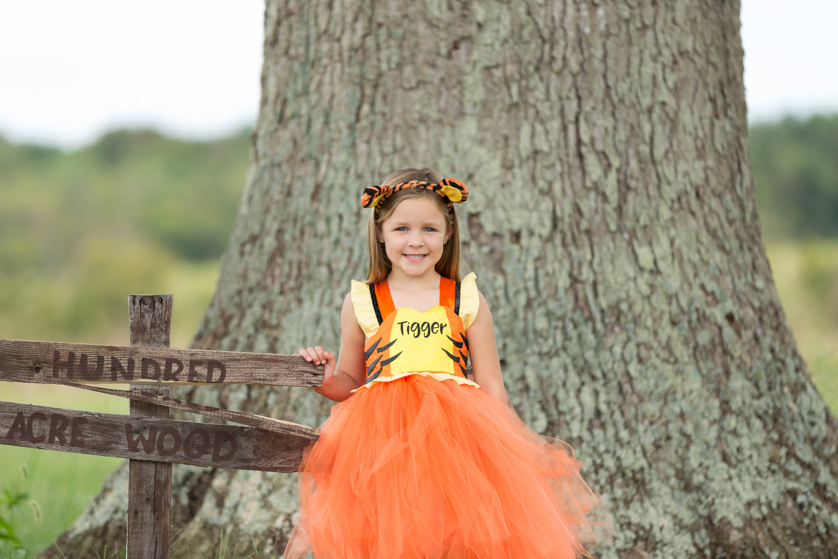 Tigger Costume- Tigger Tutu Dress- Tigger dress – Pink Toes & Hair Bows