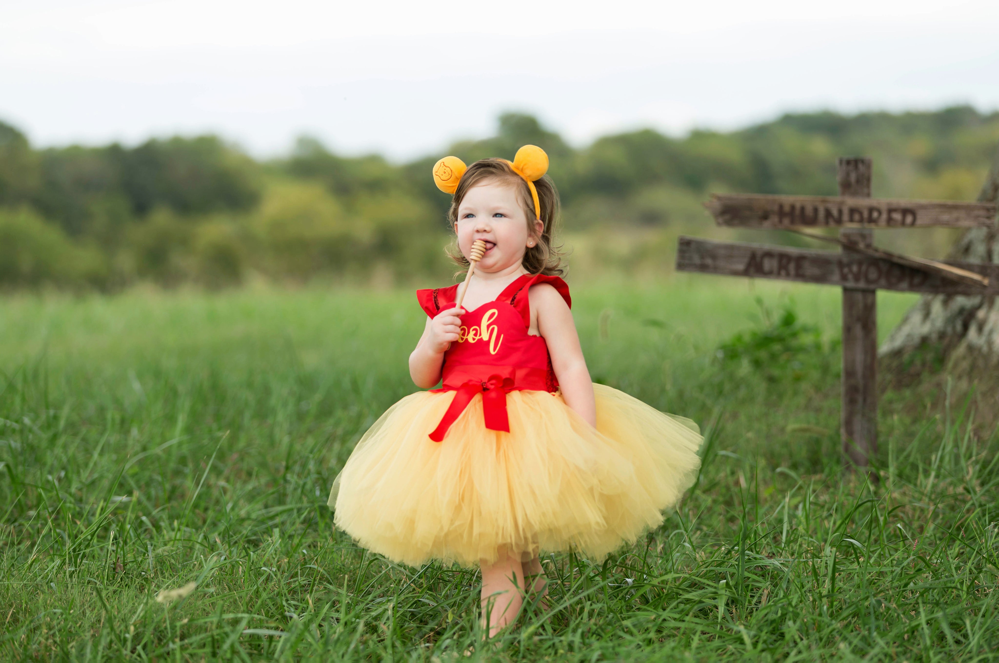 Winnie the pooh Costume-Winnie the pooh Tutu Dress- Winnie the pooh dr ...