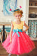 Fancy Nancy Dress-Fancy Nancy costume- Fancy nancy tutu- Fancy Nancy t ...